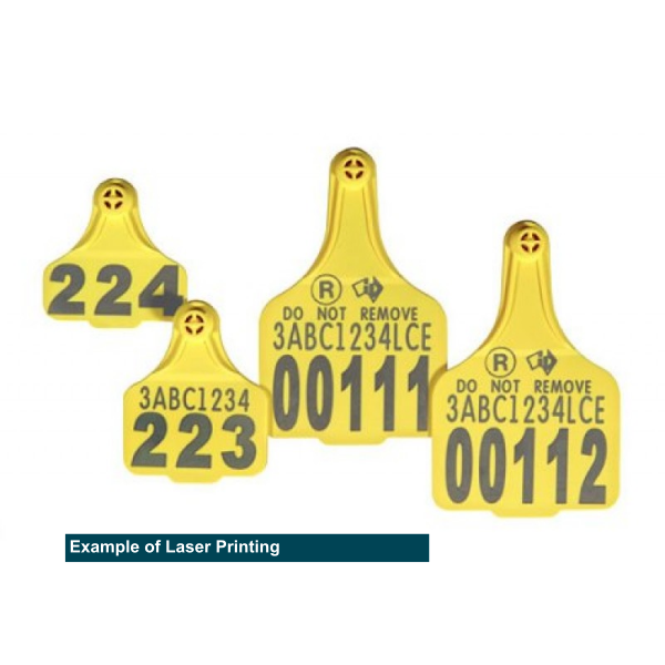 2023 Animal Ear Tags Fiber Laser Marking Machine On Plastic